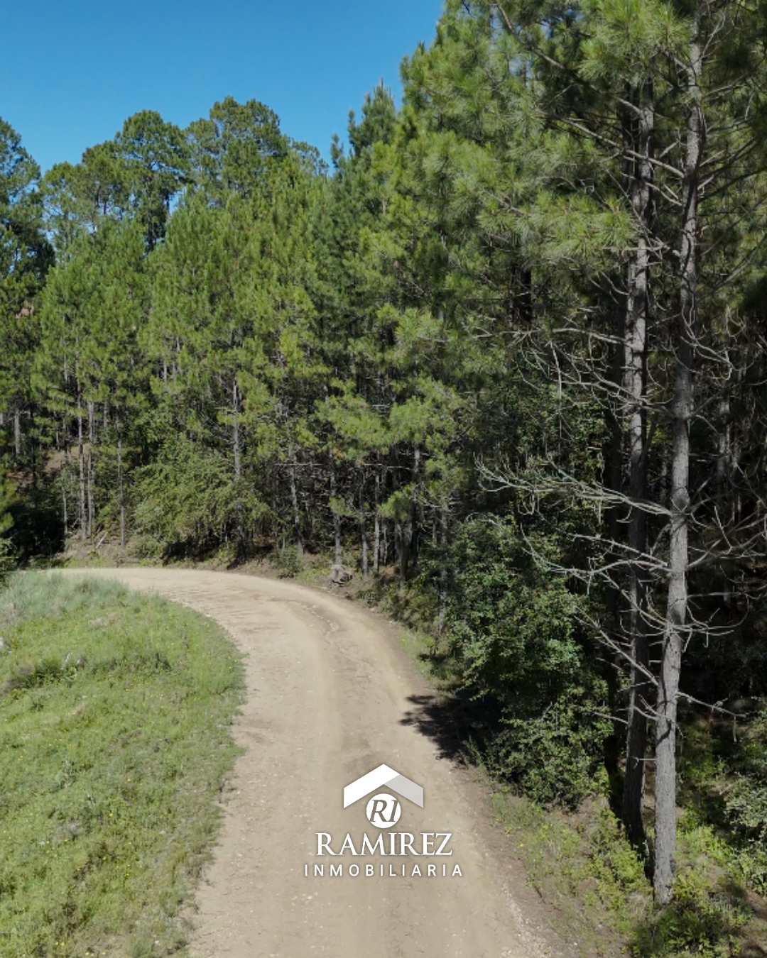 CAMPO EN VENTA – INTIYACO (COD CP07) - Inmobiliaria Ramirez Calamuchita